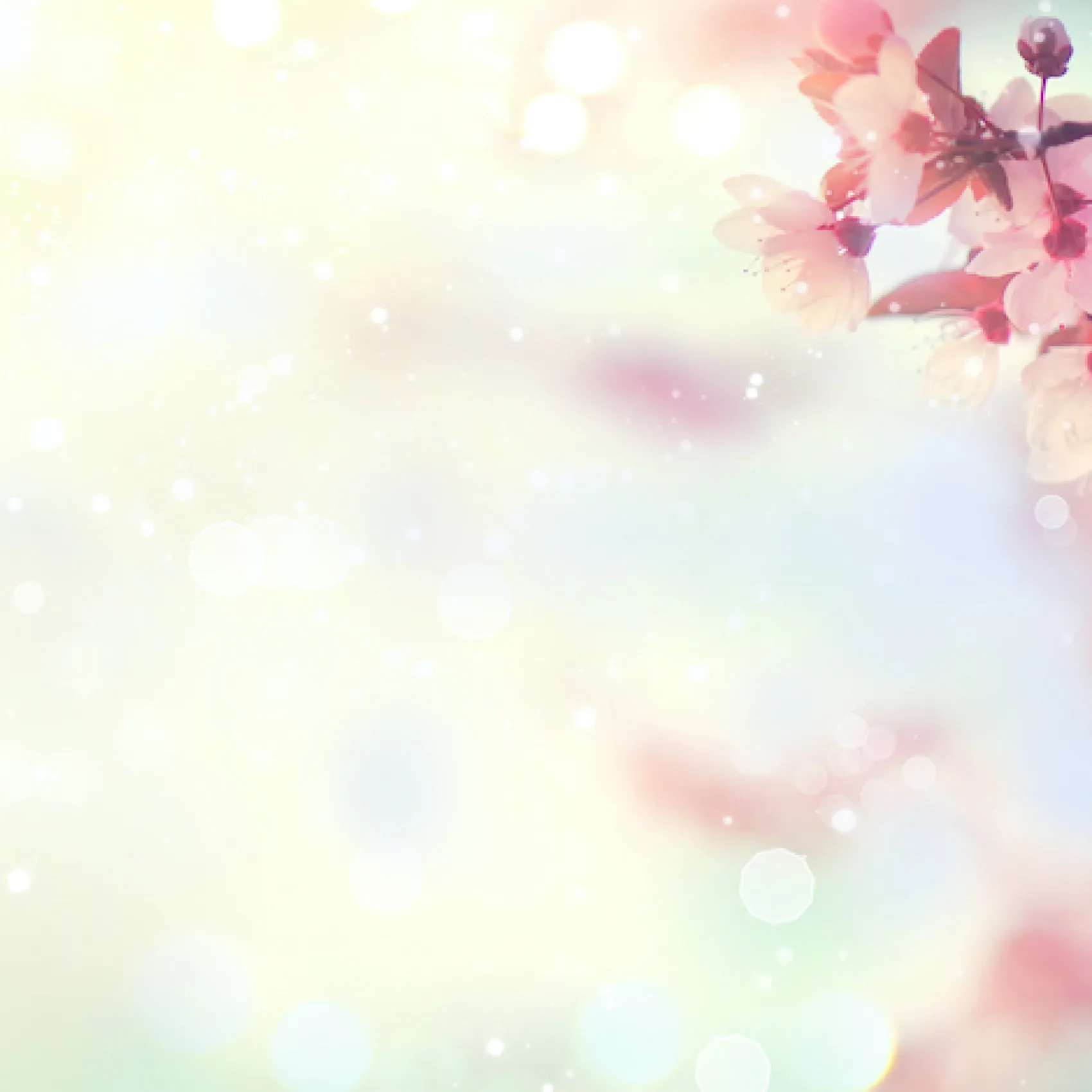 Views Vanilla JavaScript Slideshow, Tabs, Reveal | SOLO